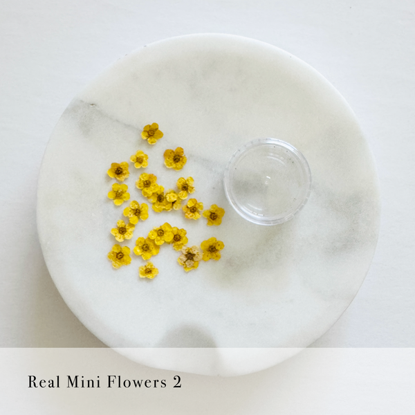 Real Mini Flowers