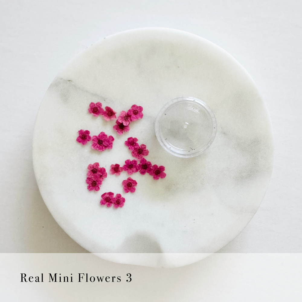 Real Mini Flowers
